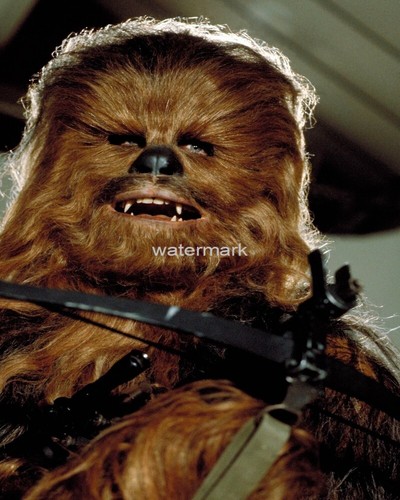 CHEWBACCA 8X10 GLOSSY PHOTO star wars wookie photograph print | eBay