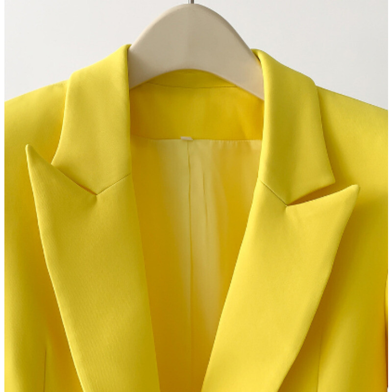 Temperament Jacket Womens New Fur Trim Design Suit Blazer Coat One ...