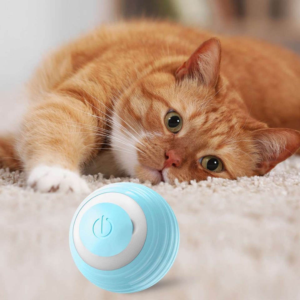 Automatic Rolling Ball Smart Cat Dog Toy Electric Pet Self-moving ...