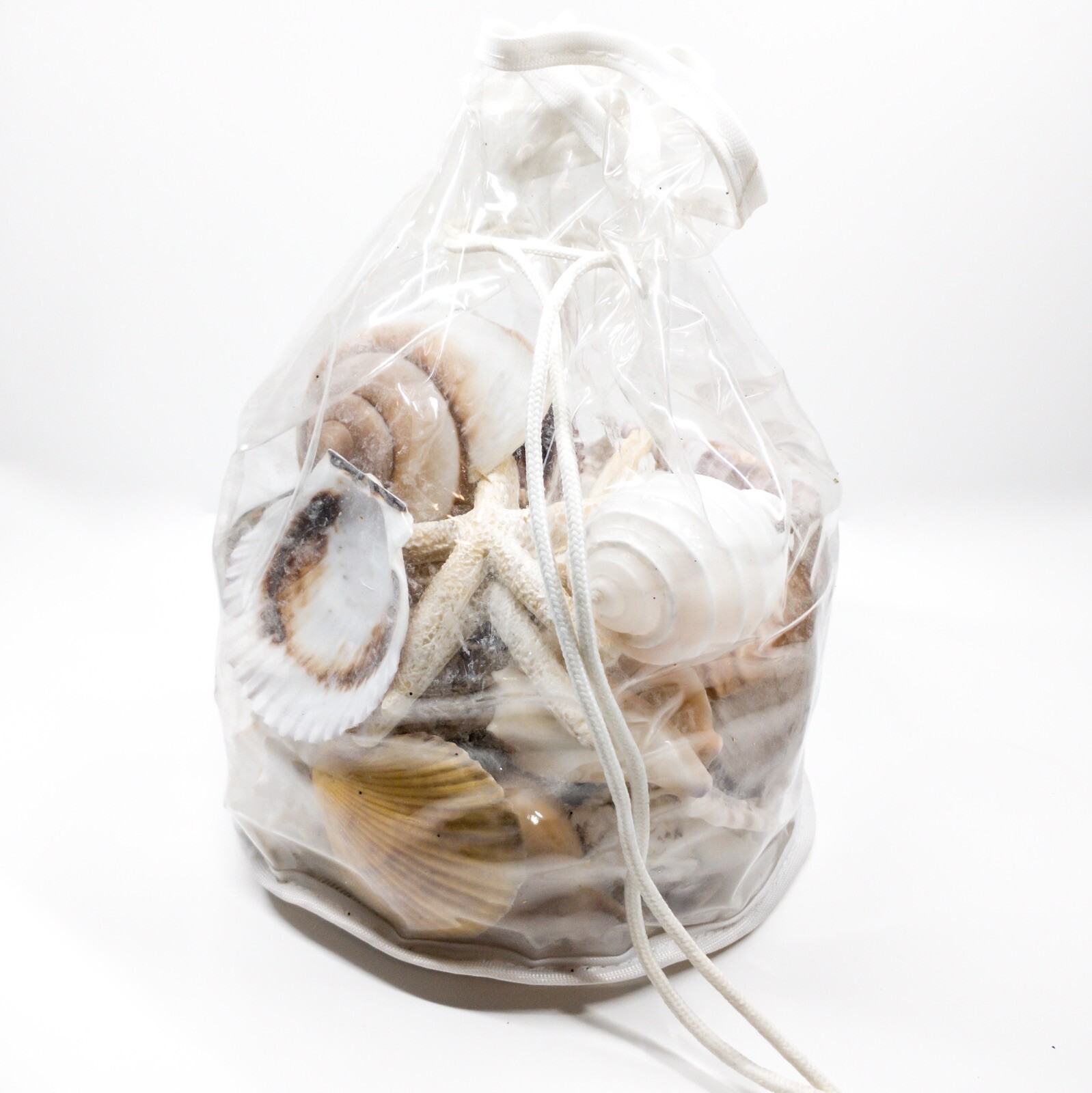 Bag of Natural Beach Sea Shells Vase Filler Decoration - 30oz In Bag ...