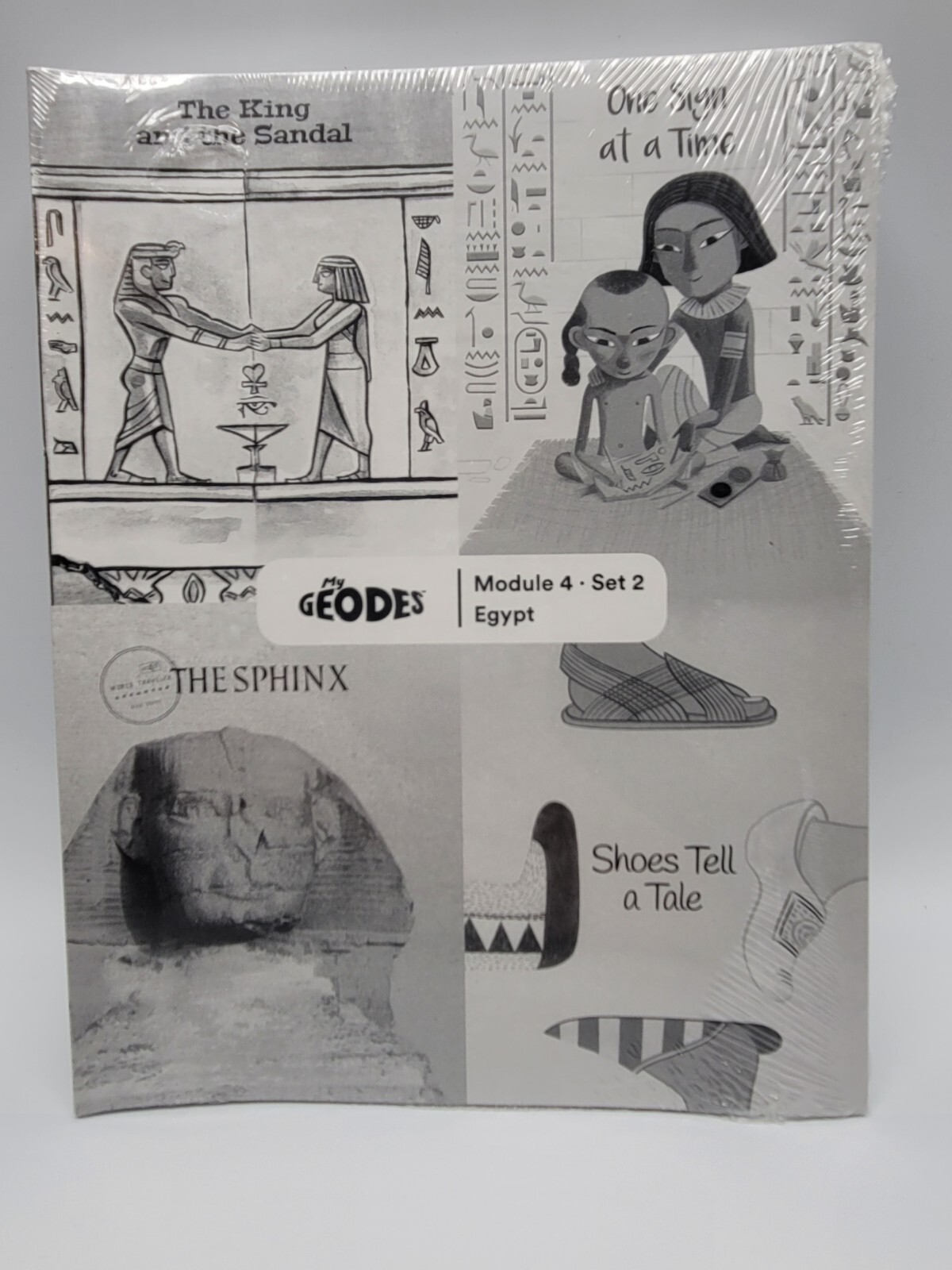 Wit & Wisdom My Geodes Level 1 -Module 4, Set of 4 | eBay