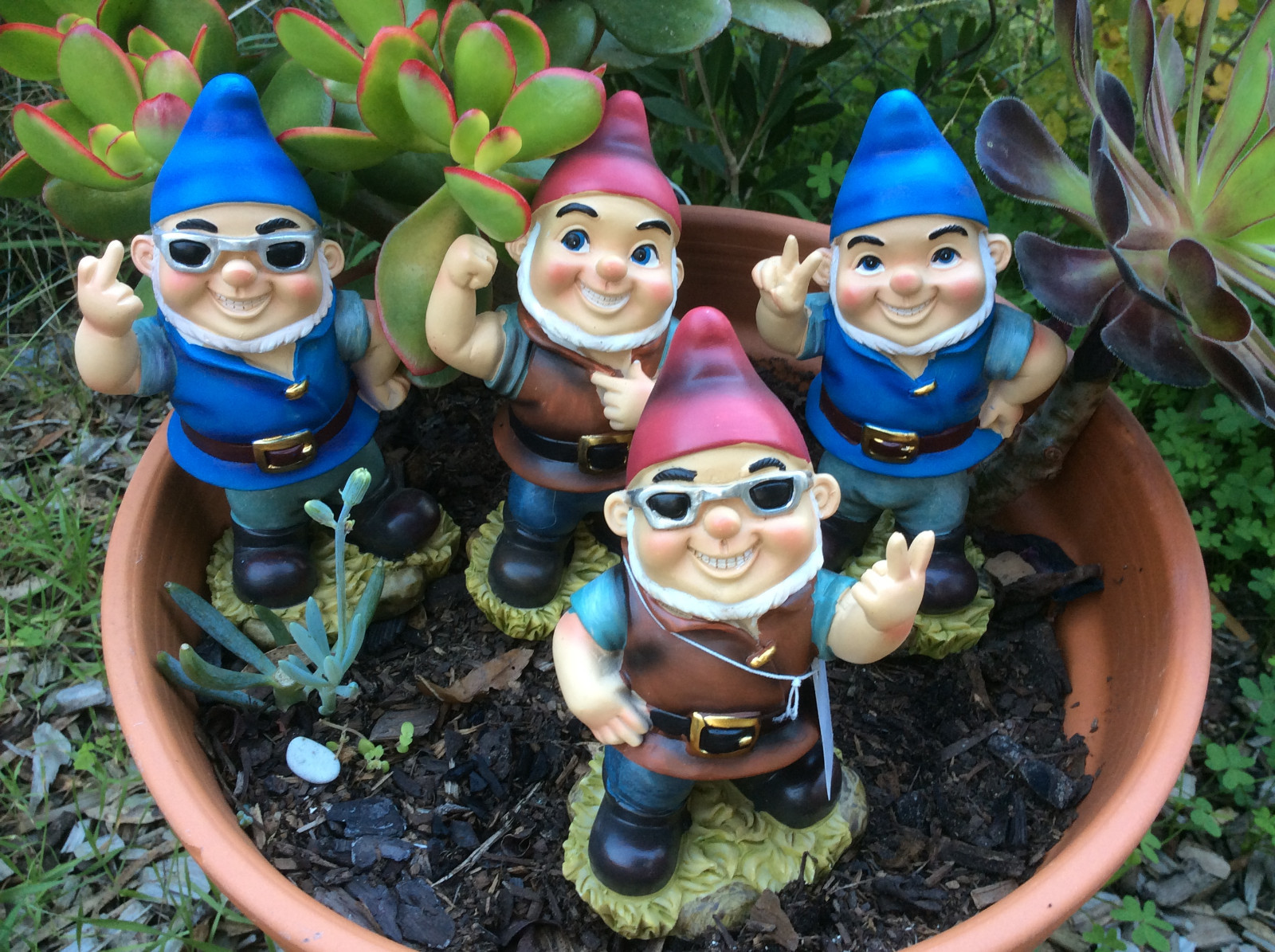 Naughty wobble biker gnomes novelty rude, funny adult joke gnome garden ...