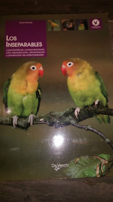 Les Inseparables. Livre Neuf | eBay