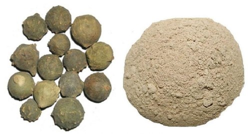 Majuphal Powder Manjakani Quercus Infectoria Nutgalls Gallnuts Oakgalls ...