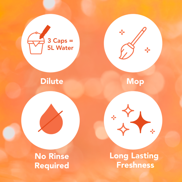 Asevi Concentrated Spanish Floor Cleaner Liquid Dirt Remover Surface ...