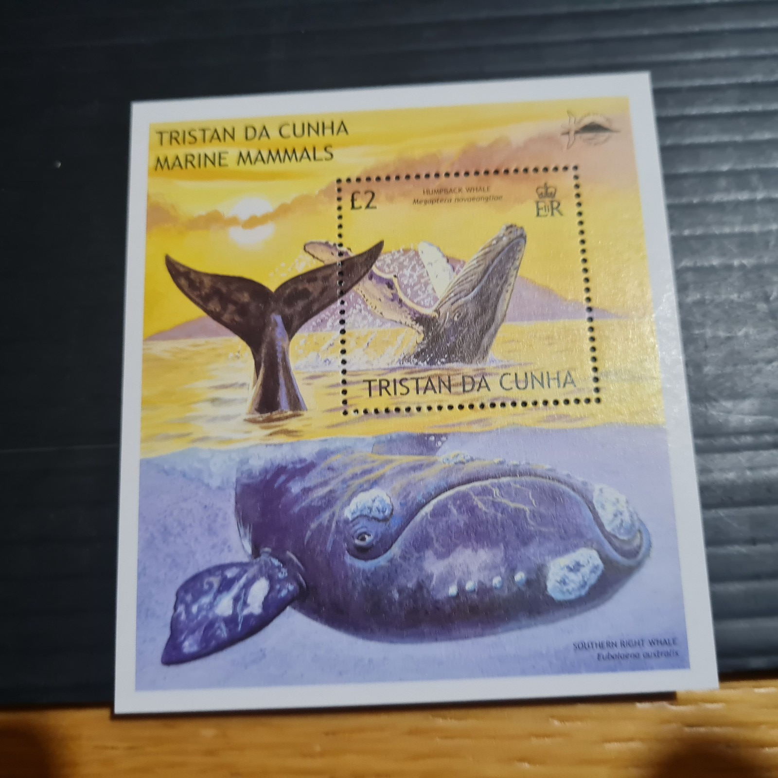 TRISTAN DA CUNHA 2002 SG MS758 MARINE MAMMALS MNH | eBay