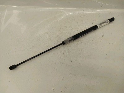 AMMORTIZZATORI A GAS ANTERIORI COFANO Mercedes-Benz C (W203) 2006 ...