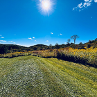 Tyoga Vintage | eBay Stores