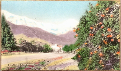 Trade Card Oranges and Snow Hand Painted With Gold Border | eBay
