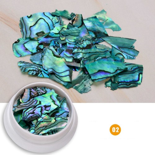 1 Box Shell Paper Abalone Flake Slice Sequin Fragment DIY Crafts Nail ...