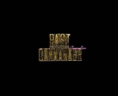 Past Commander + a custom promo pin | eBay