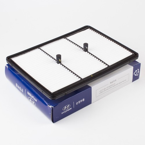 Genuine OEM Hyundai Ioniq Engine Air Filter 28113-G2100, Fits 2017 ...
