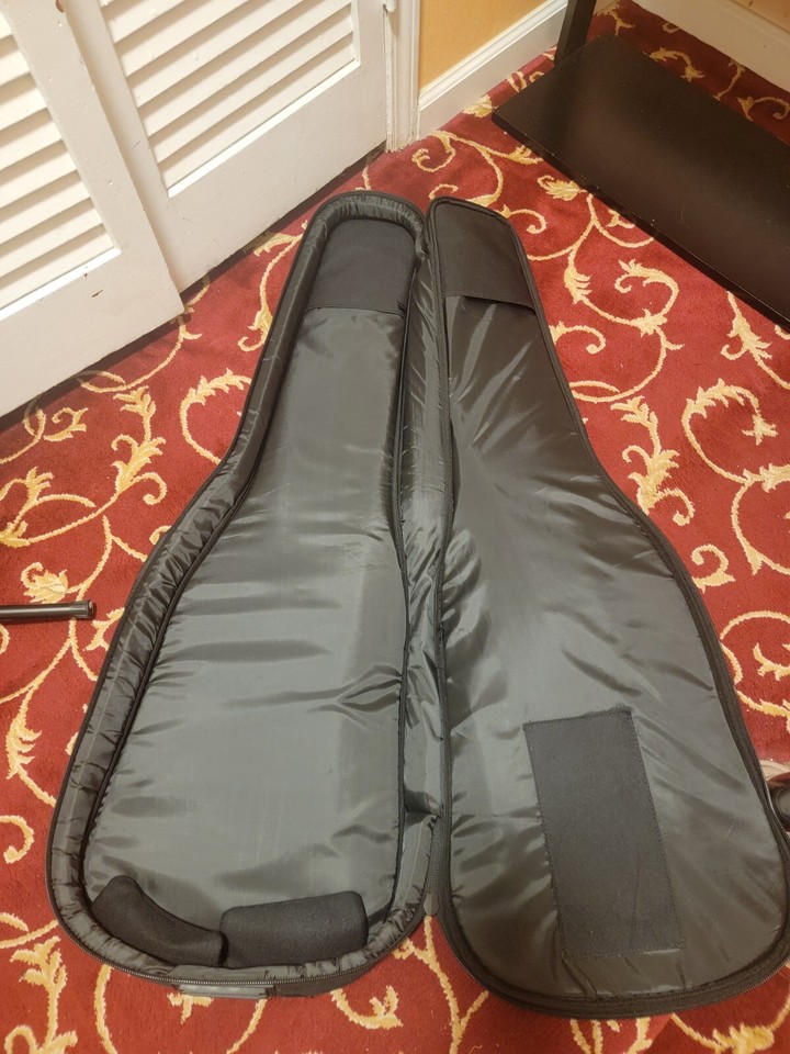 Custom* Built Roscoe 5-String Bass 2023 (Mint Condition) | eBay