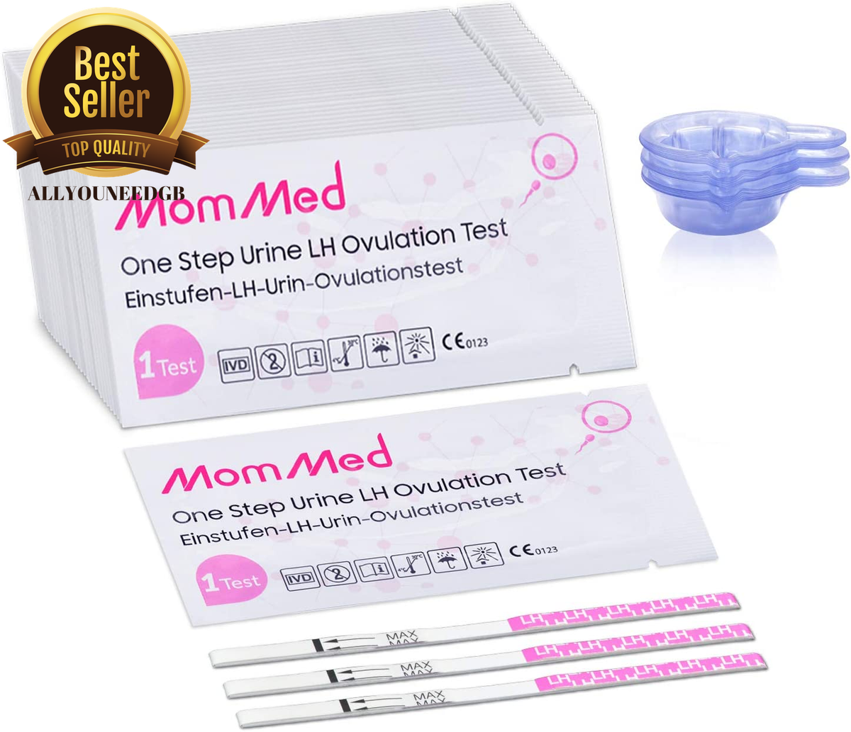 Ovulation We Know About The 4 Phases Of The Menstrual Cycle, But What