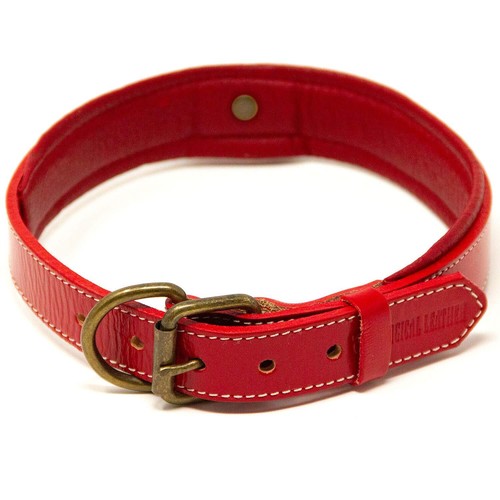 Deluxe Padded Genuine Full Grain Leather Collar Large Red | eBay