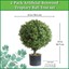 Silk Tree Warehouse Company Inc LPB446GR Topiary - Green (2 Pack) for ...