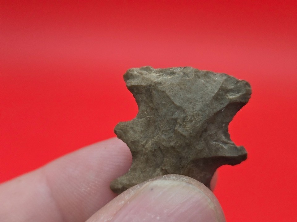 Exaggerated ECCENTRIC Arrowhead - GTD. AUTH. Indiana Carter Cave Chert ...