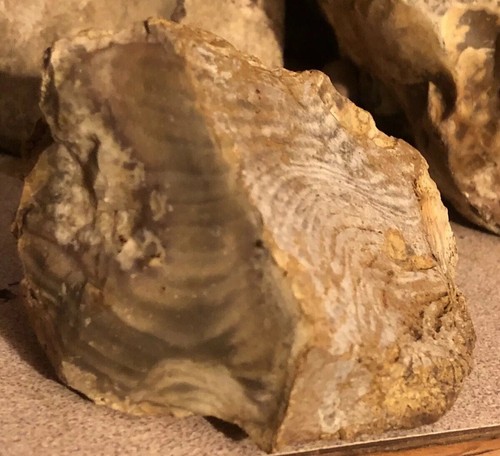 127g Gem Quality Texas Banded Zebra Flint Striped Knapping Rock Jewelry ...