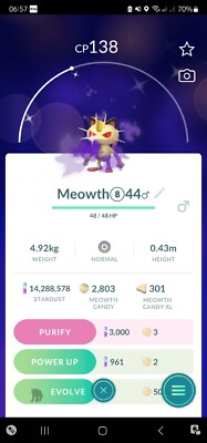 Pokémon Shiny Shadow Meowth GO | eBay
