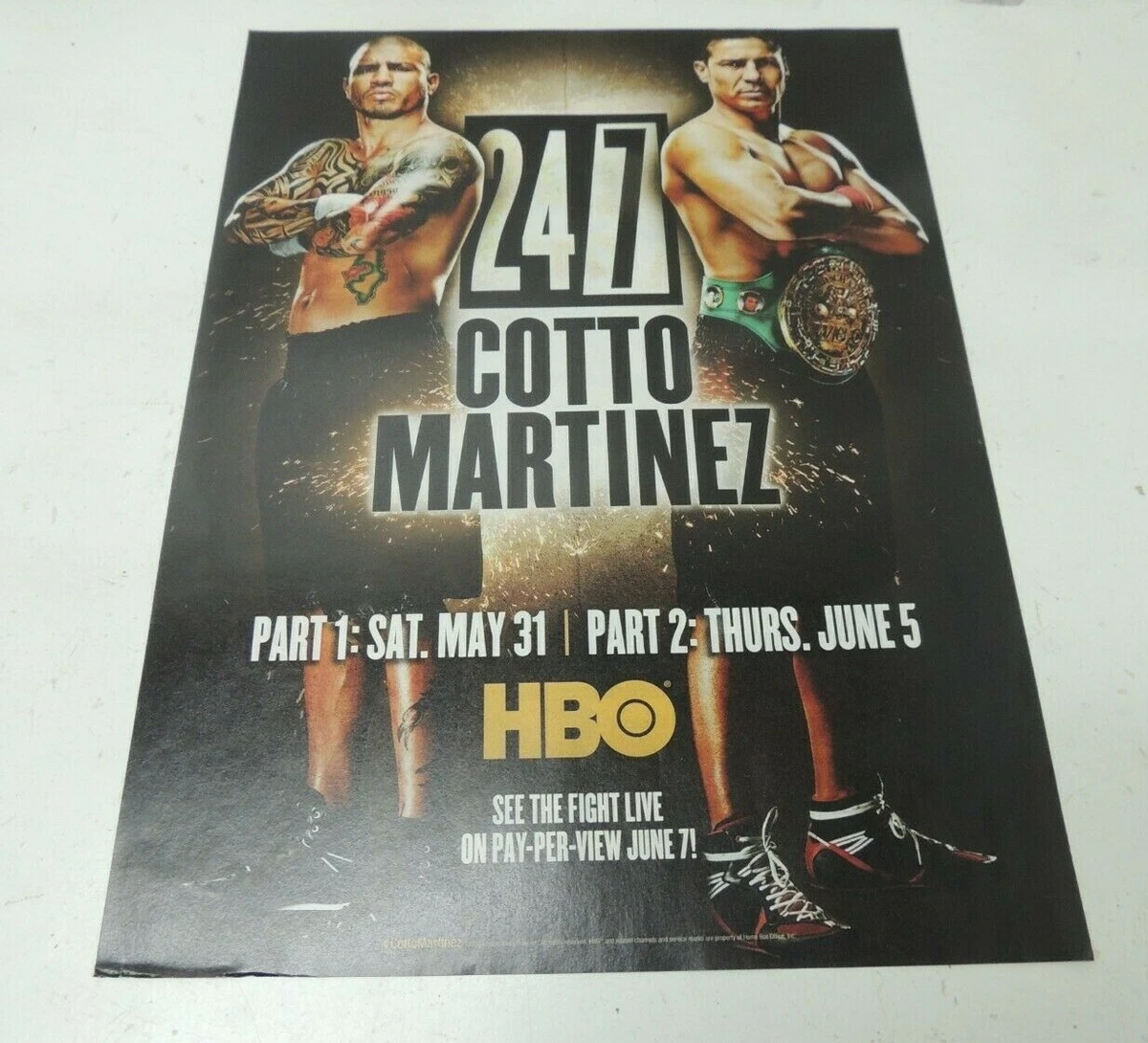 Cotto Vs Martinez Poster