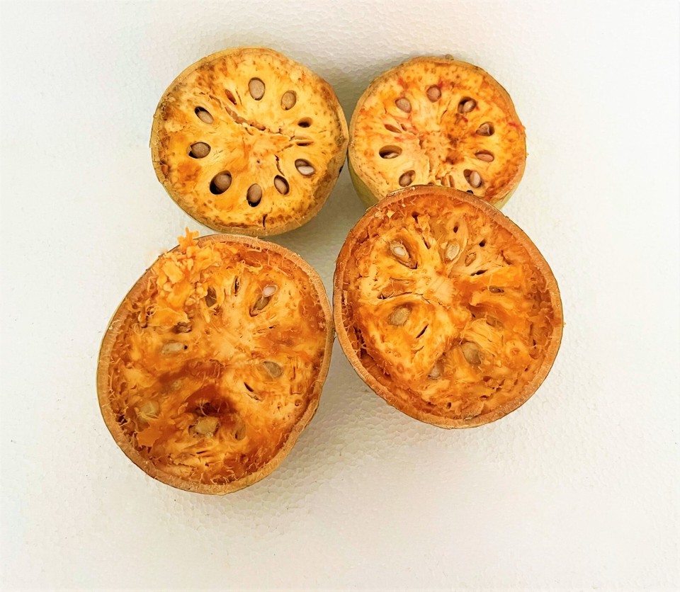 300+ Dried BAEL FRUIT LEAVES Beli Mal Leaf Tea, Bilva, Bel Patri- Aegle ...