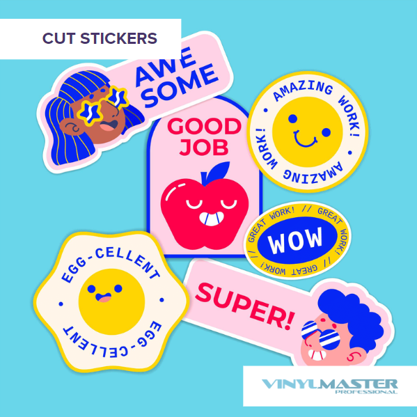 VinylMaster PRO Professional Sign Maker & Sign Shop Software (No Disk ...