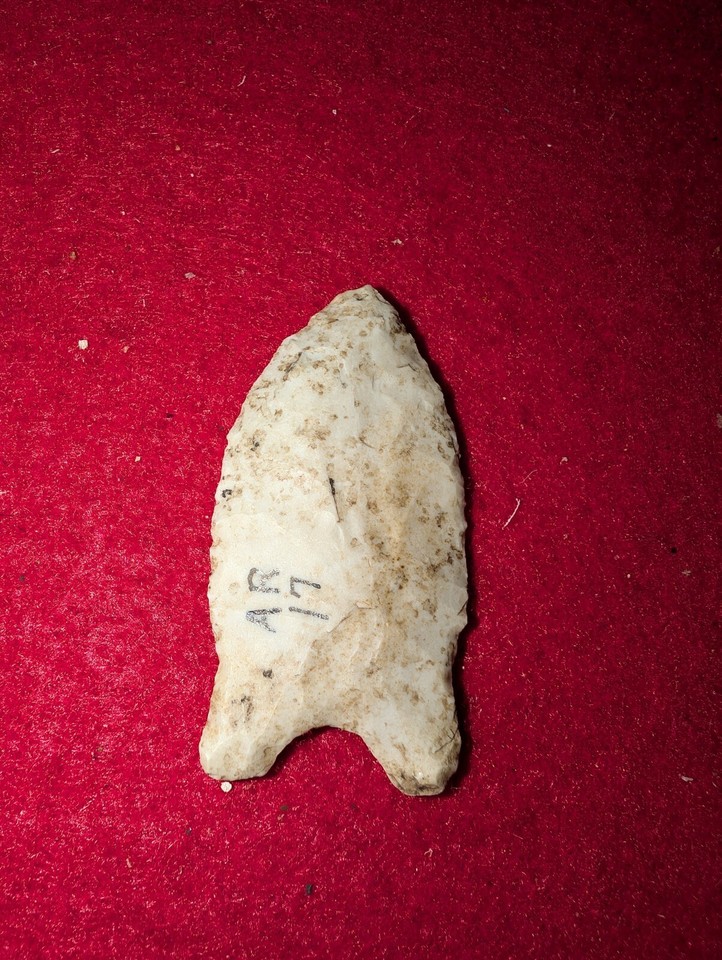 Arrowheads Two Paleo Fluted Quads, Artifacts- Relics | eBay