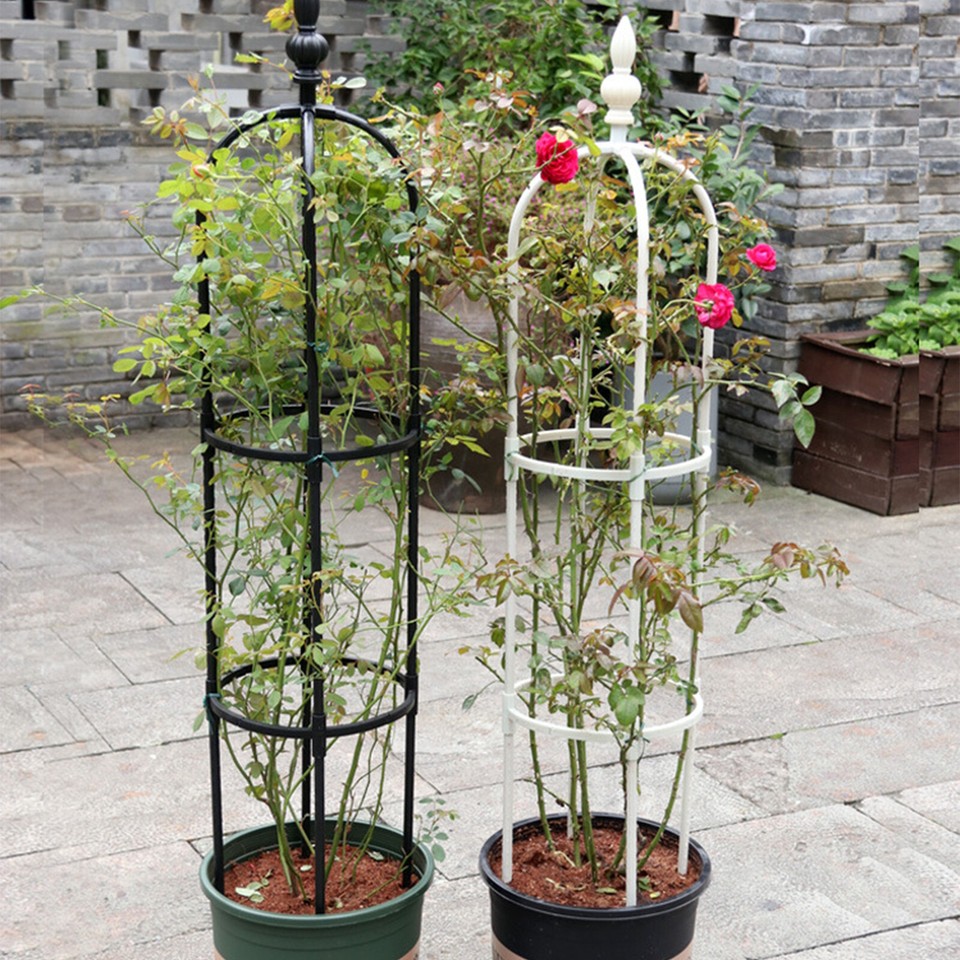 180cm Garden Plants Support Metal Obelisk Trellis Climb Frame Rose Vine ...