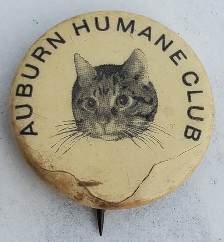 1900 AUBURN HUMANE CLUB PIN-KITTY-WHITEHEAD & HOAG-FREE USA SHIPPING | eBay