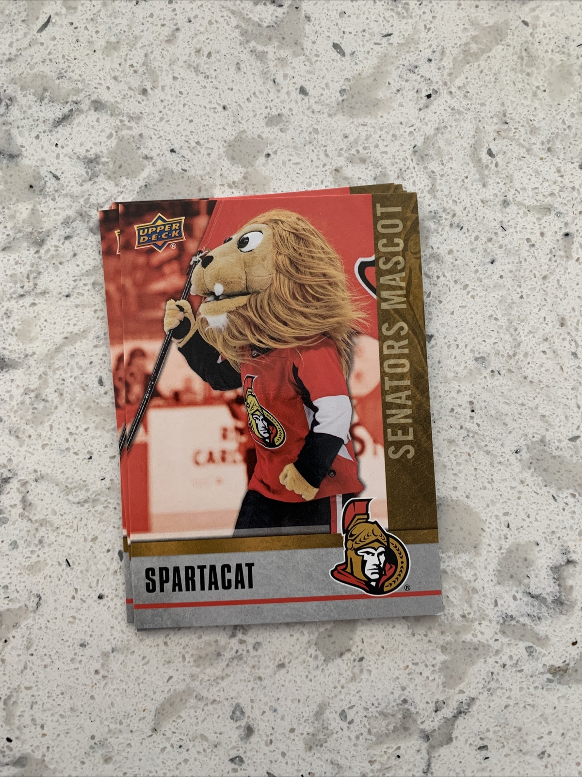 Ottawa senators mascot Spartacat Rare Upper Deck National Hockey Card ...