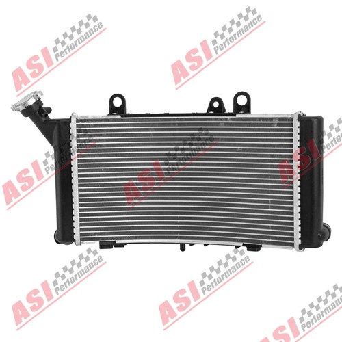 Aluminum Cooling Radiator w/Cap For 2019 20-2024 BMW F850GS Adventure ...