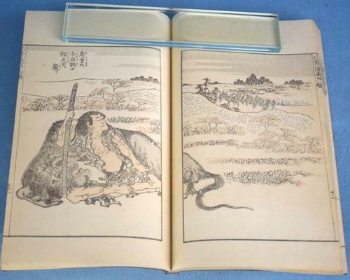 Hokusai Manga Woodblock Book 1877 Katsuhika Iitsu Iboku Complete 15 Vol ...