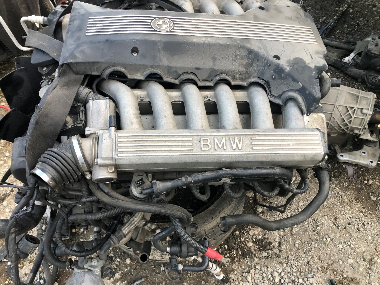 1999-2001 BMW E38 750iL 750 5.4L V12 Engine Motor | 160K | Genuine OEM ...