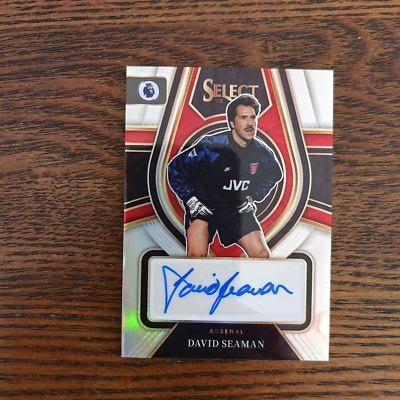 David Seaman 2022-23 Panini Select Premier League Signatures Set Auto ...