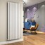 Flat Panel Vertical Radiator Double Single Central Heating Rad Grey ...