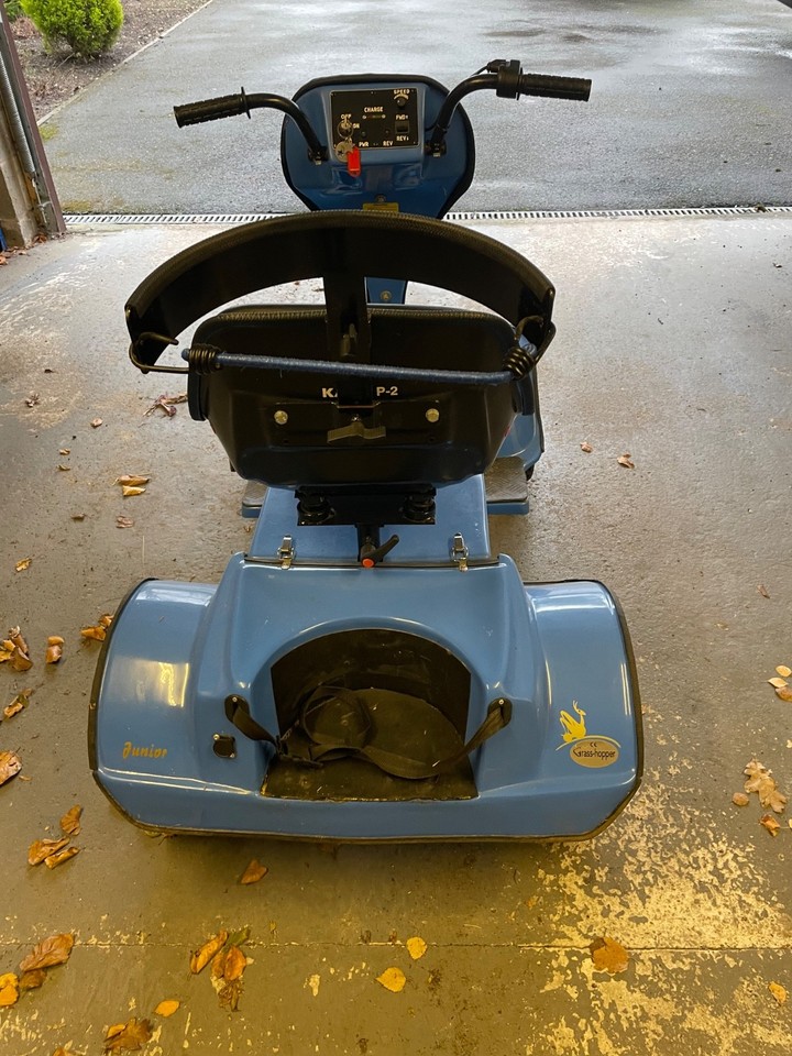 Grasshopper golf buggy with lithium battery and charger | eBay UK