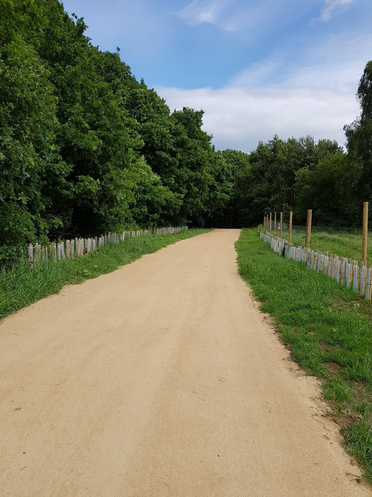 Self Binding Decorative Yorkshire Cream Buff Gravel Stone | eBay UK