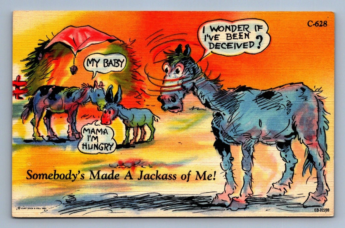 Funny Cartoon Jackass