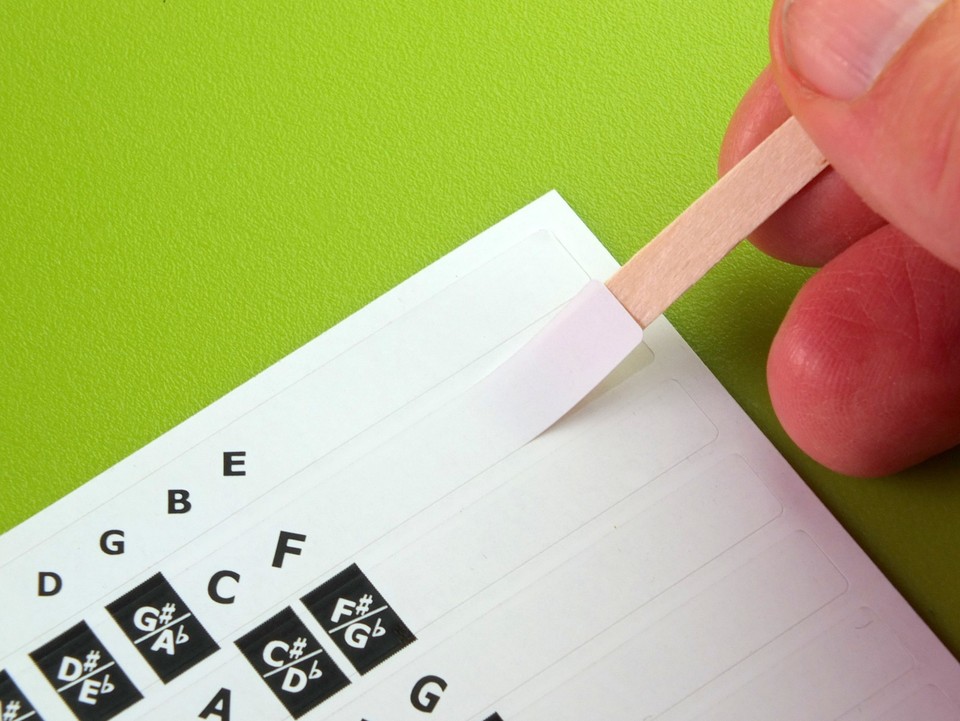 Guitar FRETBOARD NOTE STICKERS Learn Scales Fret Labels RH / LH Online ...