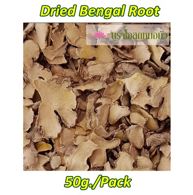 Dried Bengal Root Cassumunar Ginger Phlai Herb Relieve Menstrual Muscle ...