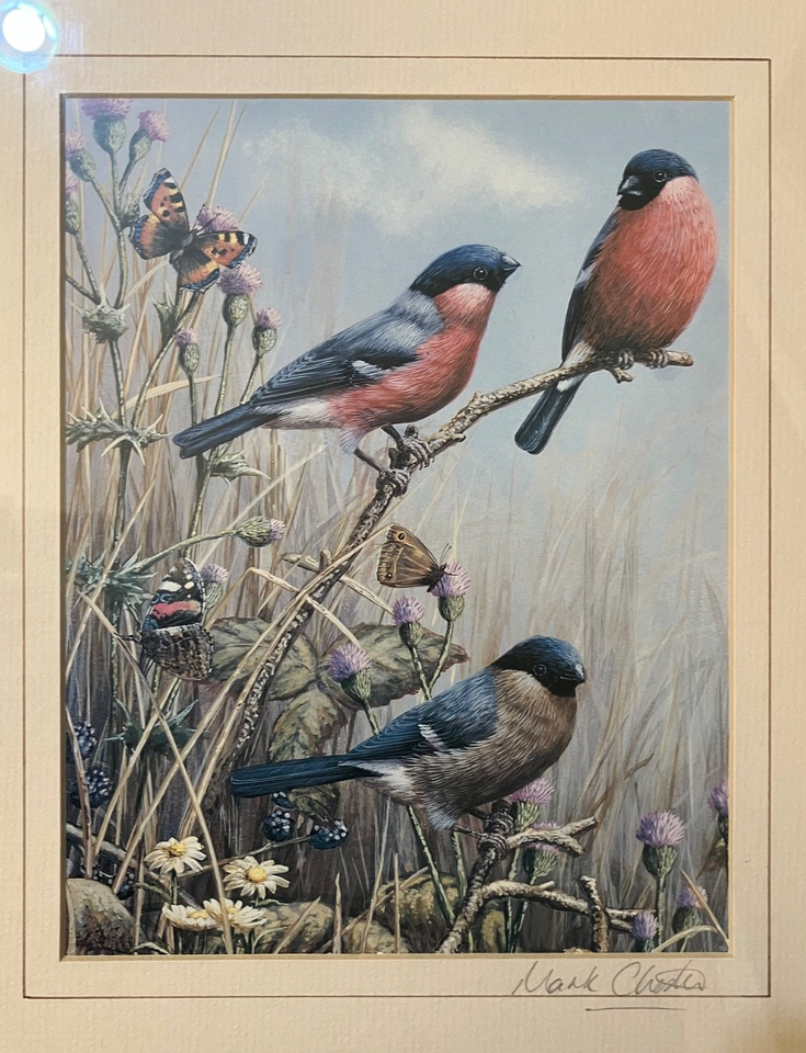Mark Chester "Bull finches & butterflies" signed framed print, birds ...