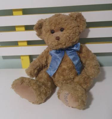 CONRAD JUPITER TEDDY BEAR DREAMPETS PROMO TOY 34CM | eBay Australia