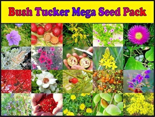 MEGA BUSH TUCKER SEED PACK-NATIVE BUSH FOOD GARDEN-GROW SHRUBS-VINES ...