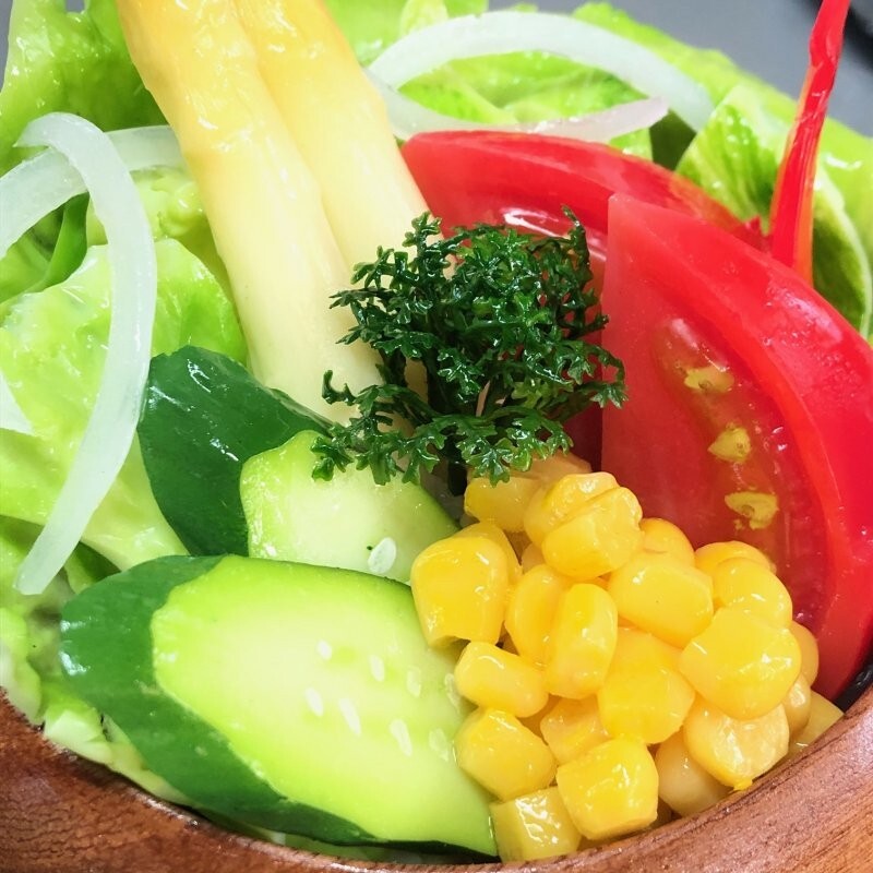 Fake Food Sample Green Salad Japanese Handmade Faux Display Prop ...