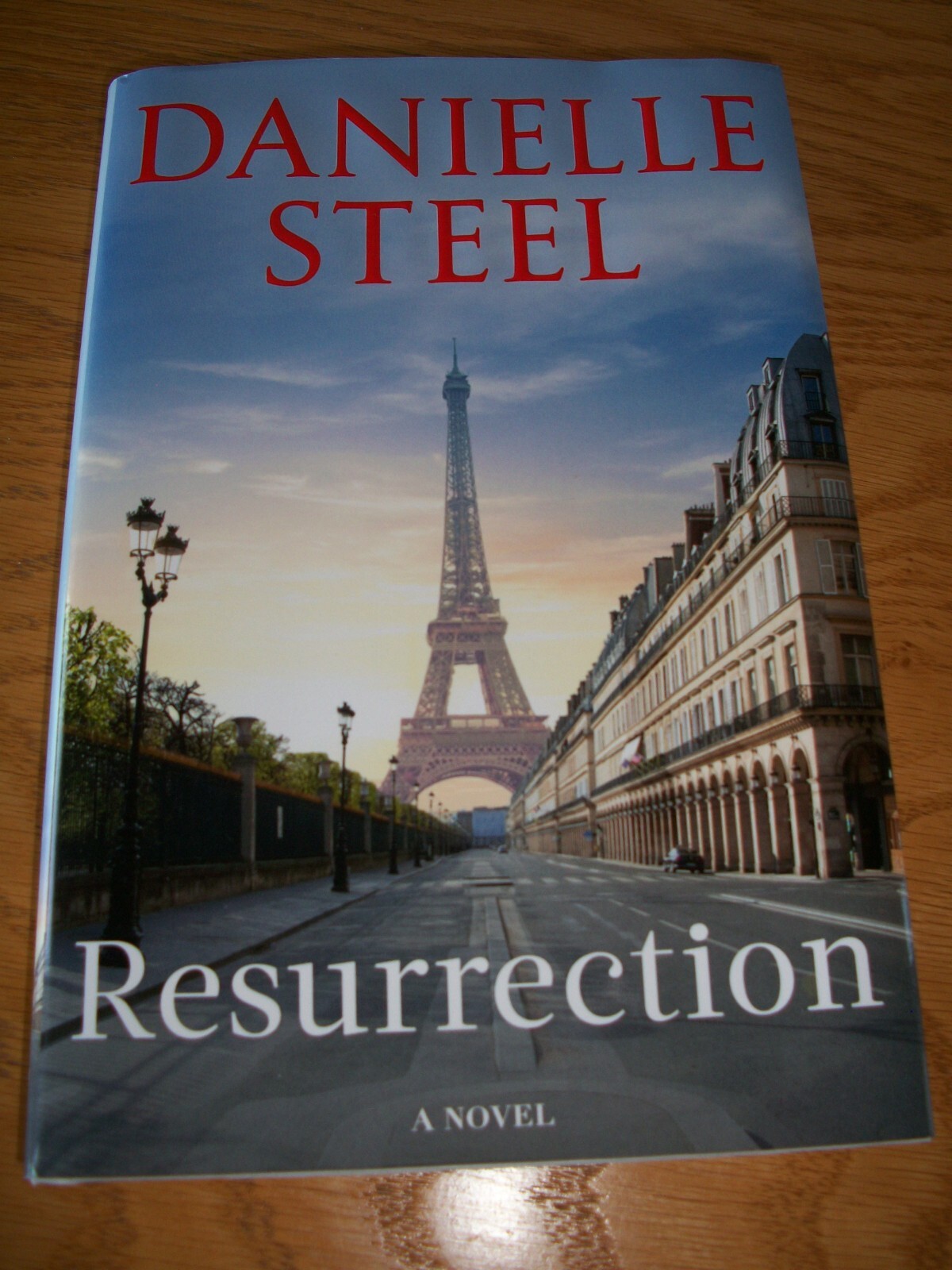 Resurrection : A Novel by Danielle Steel (2024, Hardcover) - NEW ...