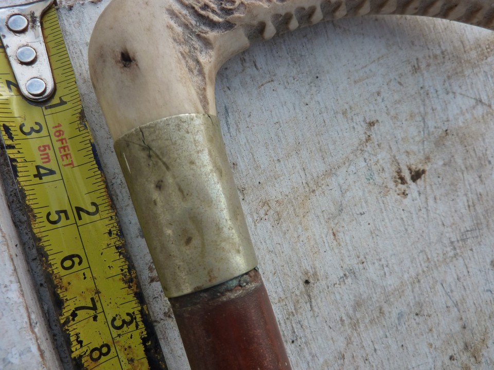 Vintage Antique English Horn Handle Horse Riding Long Hunting Whip Crop ...