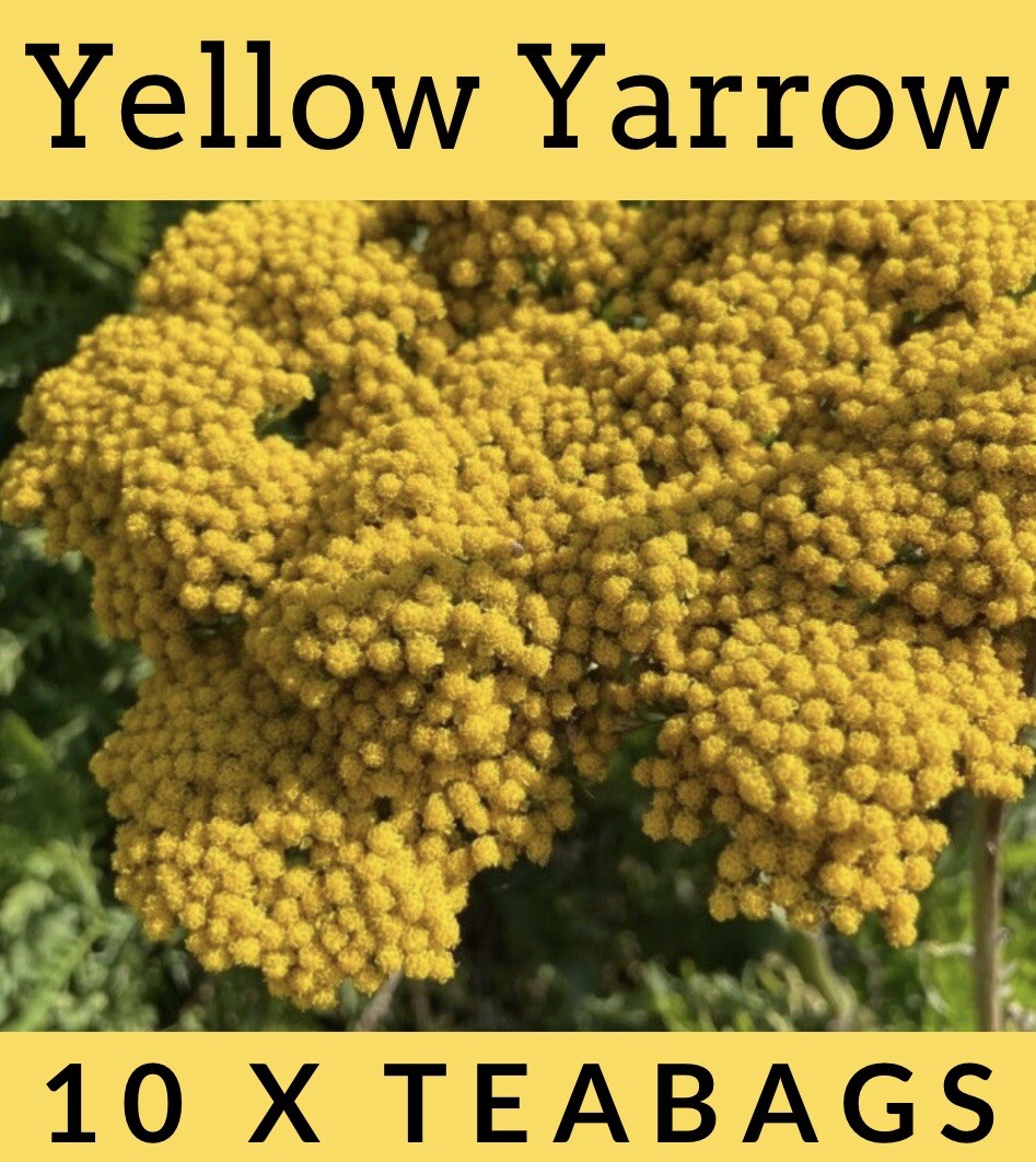 Yellow Yarrow Flower,10 X Artisan teabags, Herbal,Vegan,caffeine Free ...
