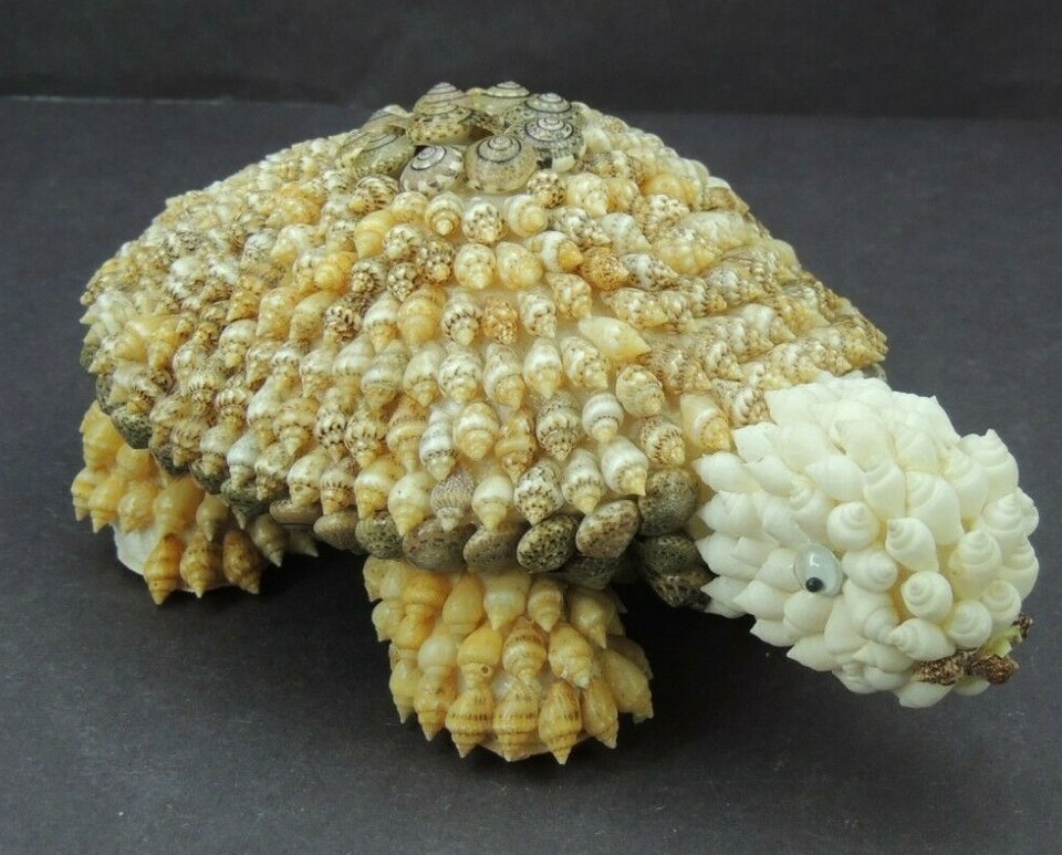Sea Shell Turtle Tortoise Figurine Handmade made in Philippines Nancy ...