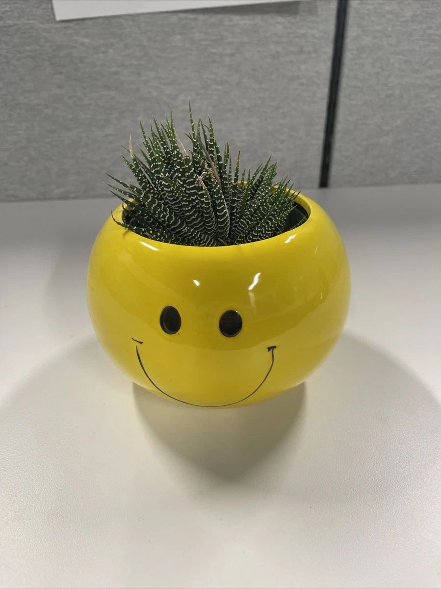 Pot Smiley Face