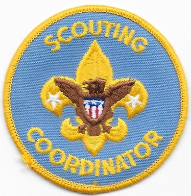 Scouting Coordinator 1976-1989 Pellon Back Position Patch Boy Scout of ...